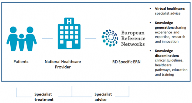 Patient NHP RD specific ERN banner graphic edited – ERN-RND | European ...